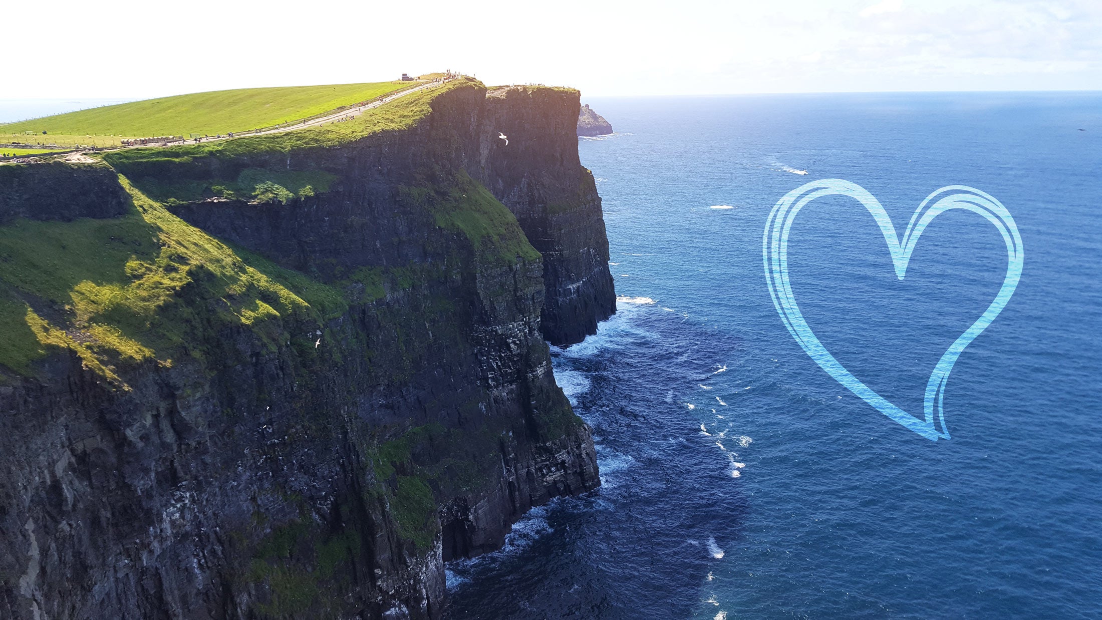 Our Paddy Boxes | The Paddy Box – Paddy Box Corporate